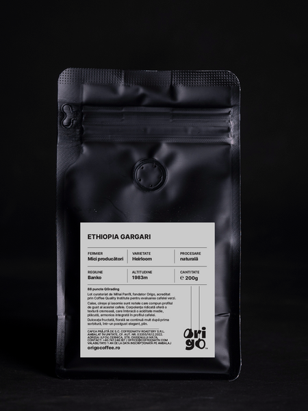 Ethiopia Gargari